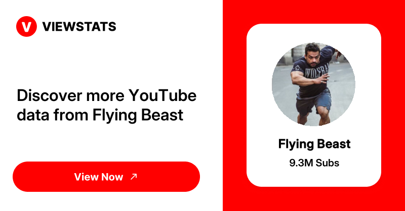 Flying Beast - Viewstats